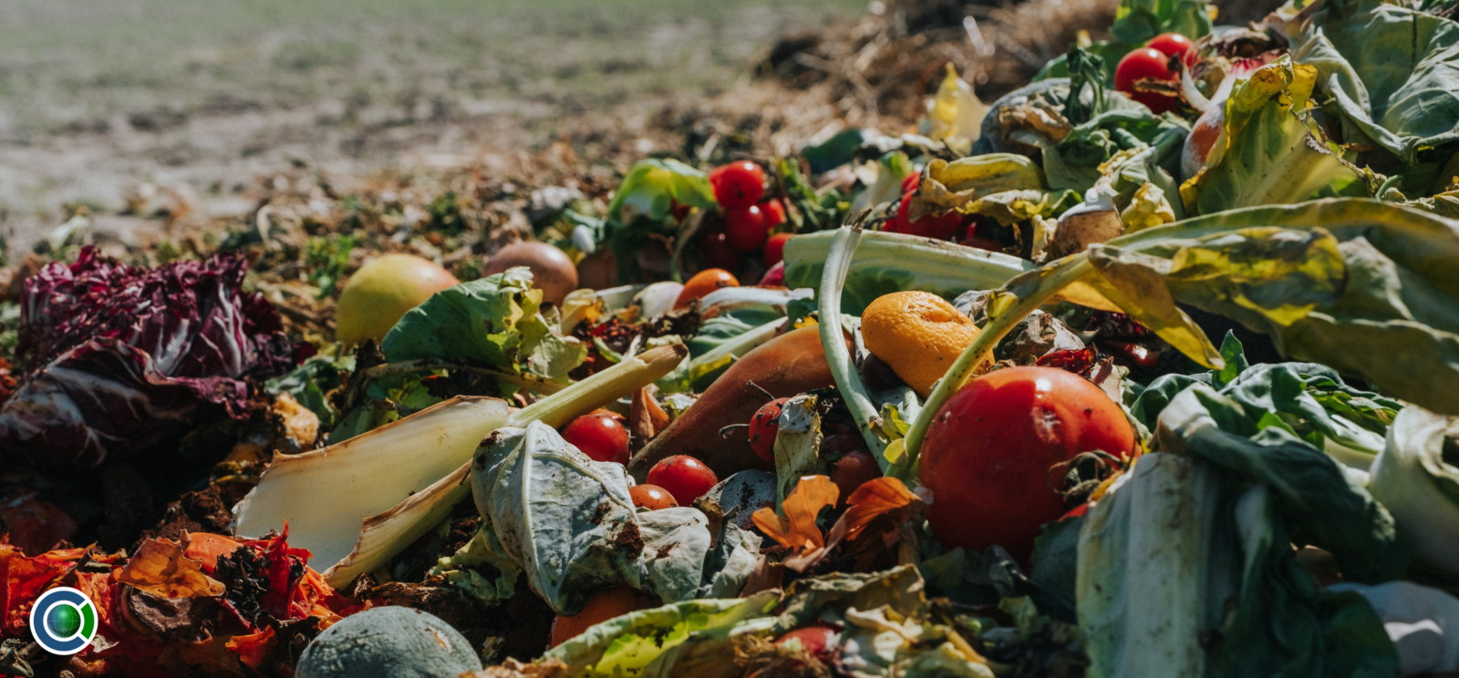 CO2e Food Waste - BIOWASTE CENTER